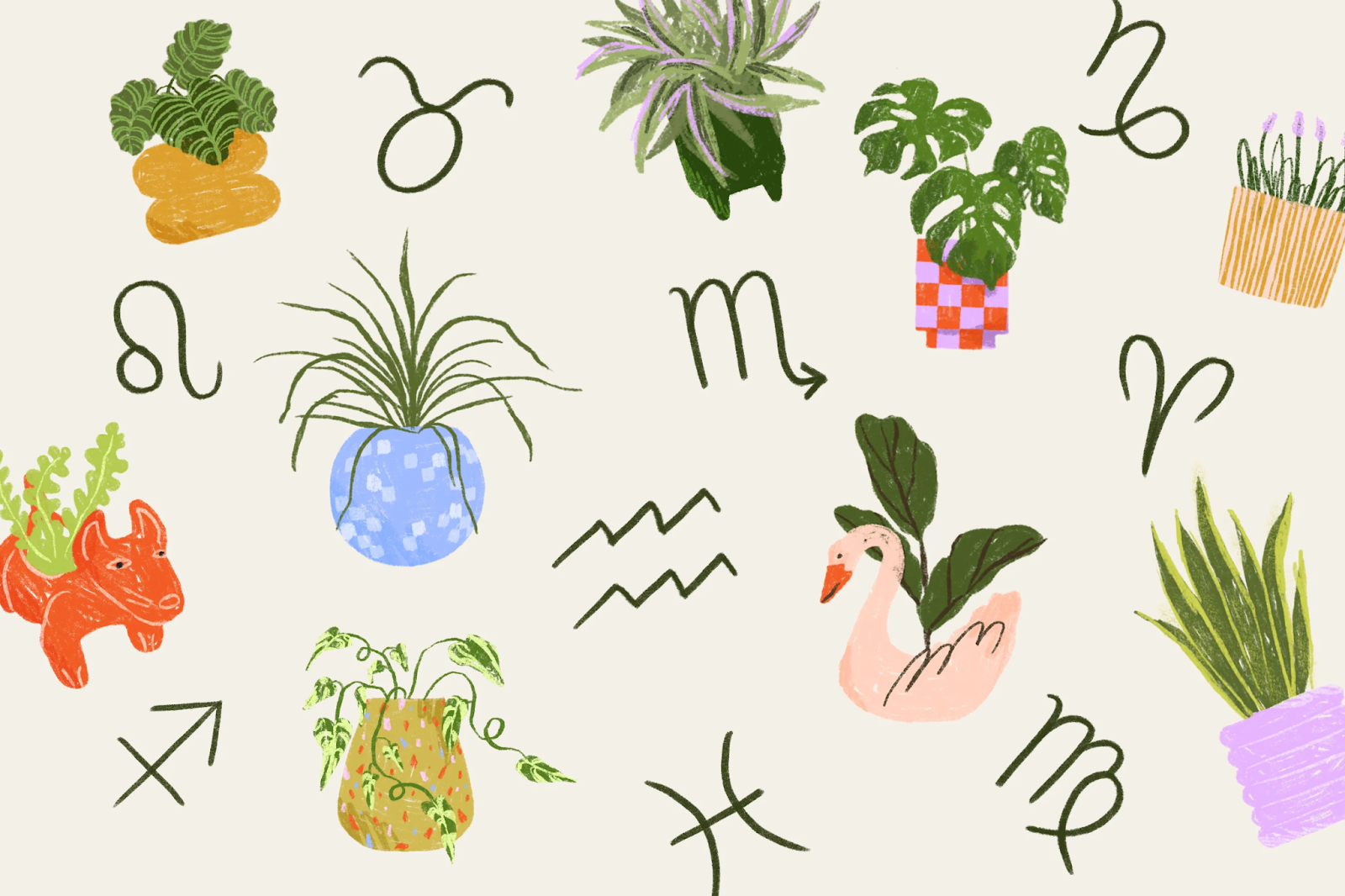 The Plant You Need Based on Your Astrological Sign – Eureka Farms
