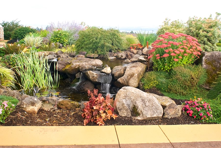 How to Create a Rock Garden: A Guide by Eureka Farms