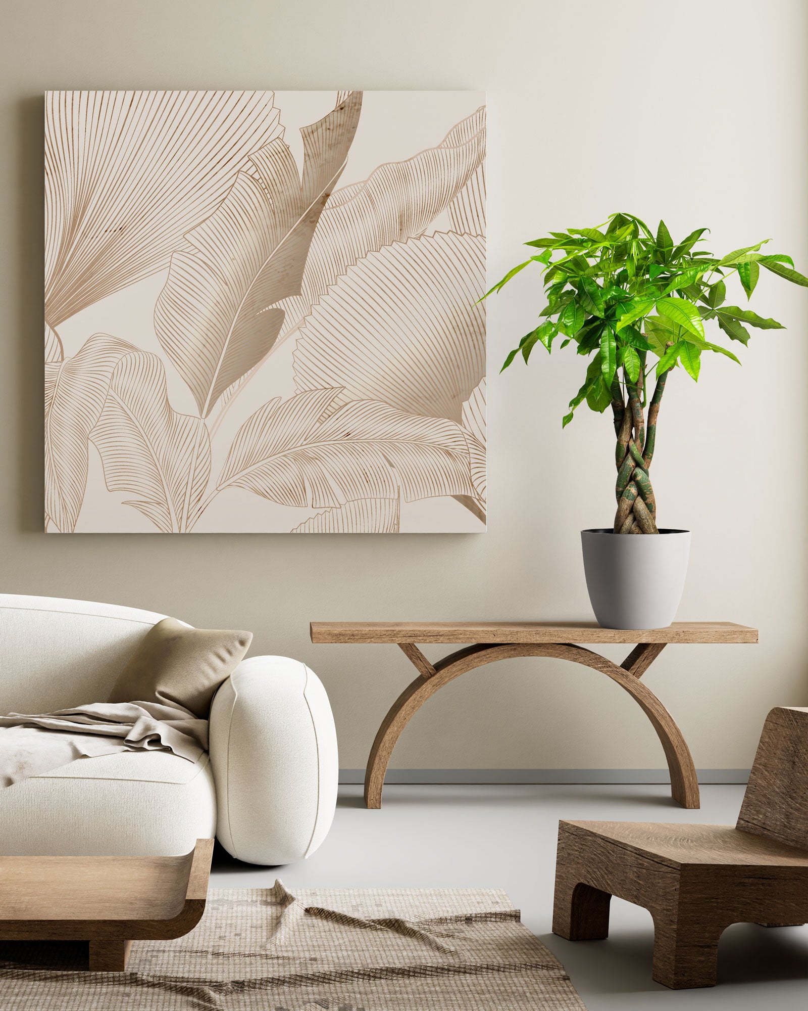 Buy Money Tree Braided - Good Luck Tree | Eureka Farms