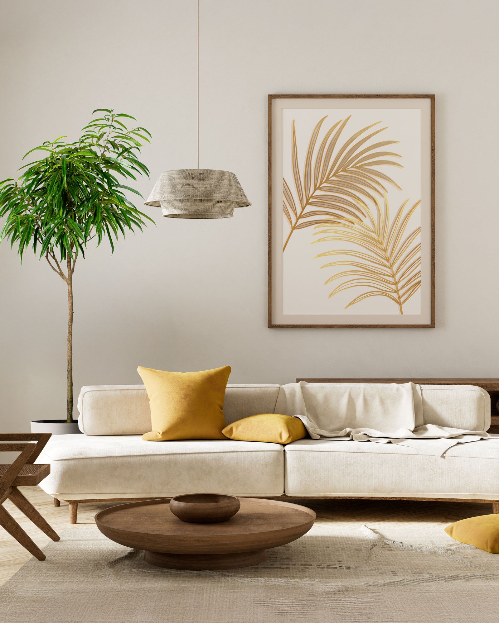 Buy Our Ficus Alii Tree, Ficus Maclellandii | Eureka Farms