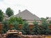 Burkii Eastern Red Cedar Juniper Tree | Buy 9pcs and SAVE – Eureka Farms