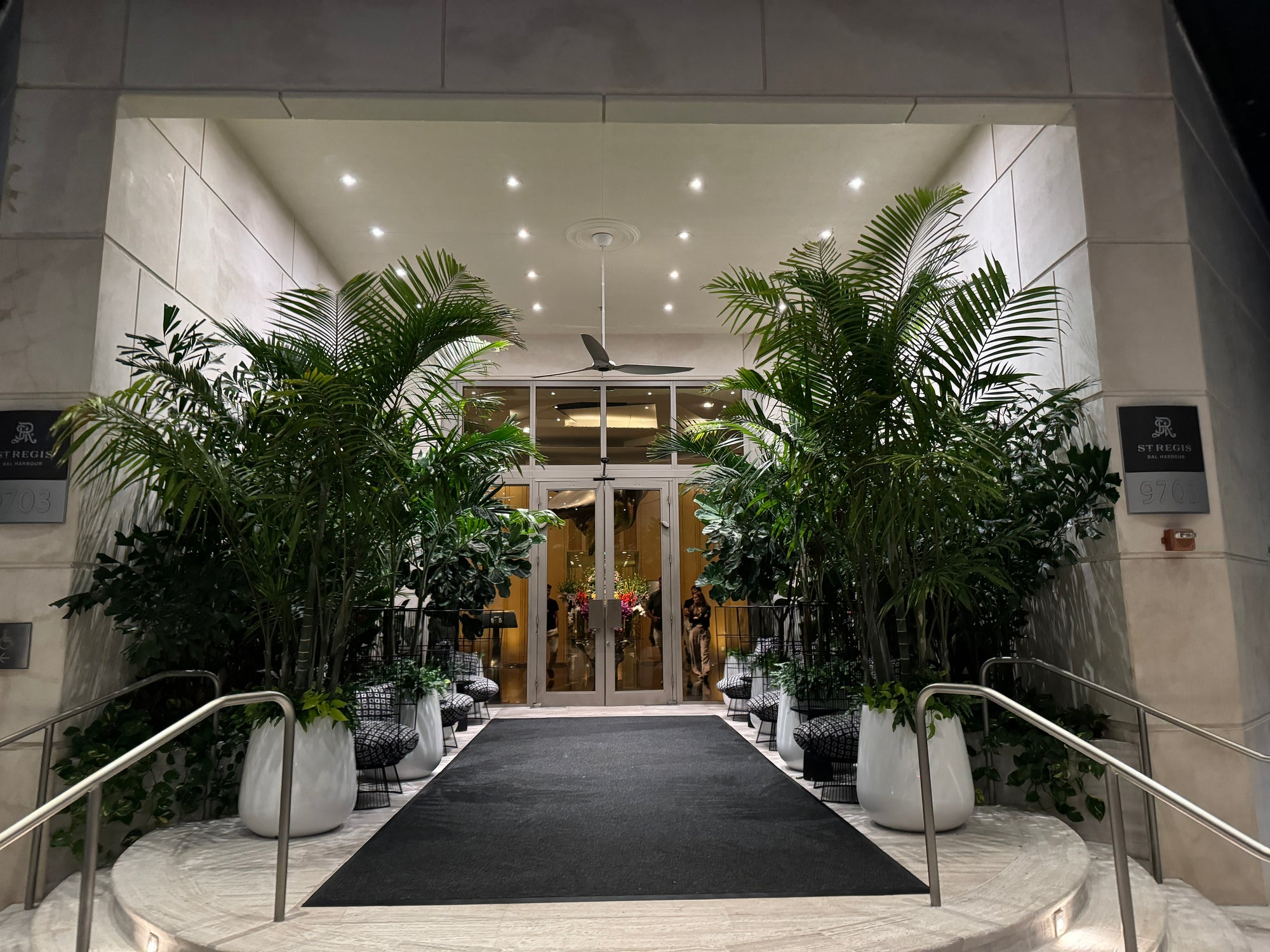 Buy Our Cabada Palm, Exotic and Rare | Eureka Farms