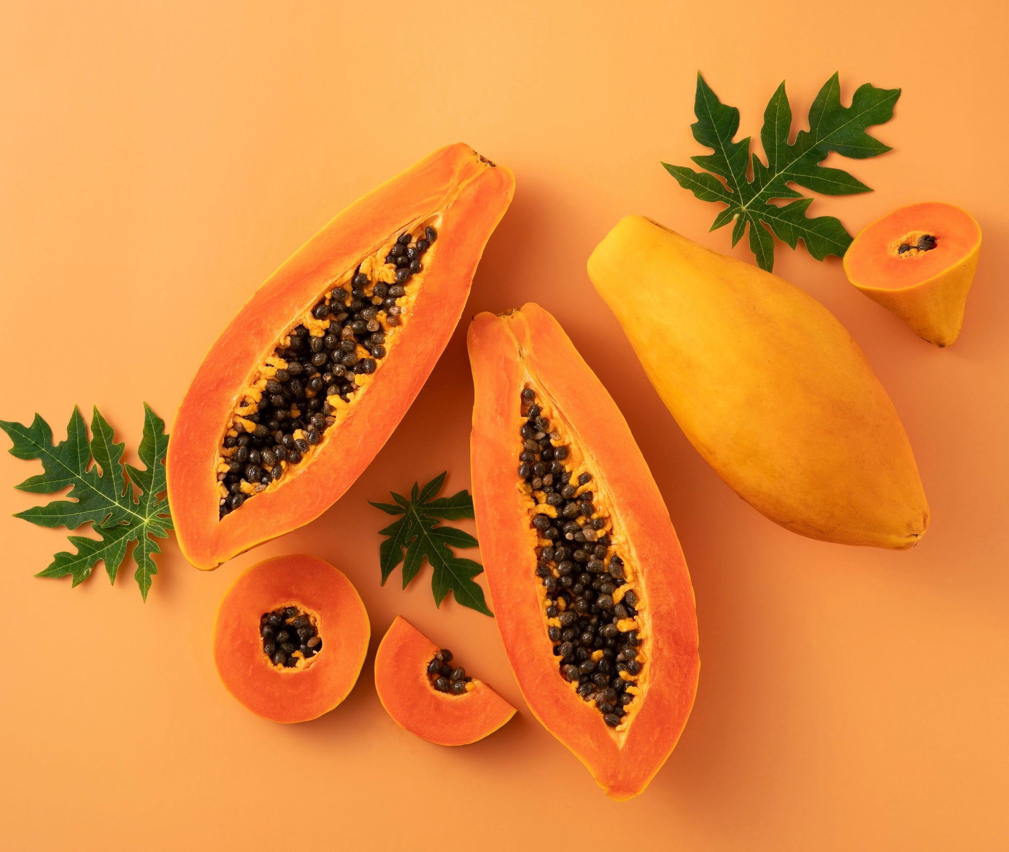 Buy Papaya Red Lady Carica Pawpaw Fruit Tree | Eureka Farms
