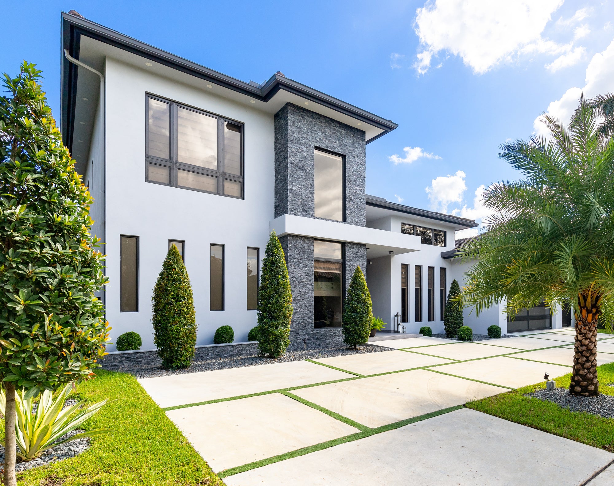 Buy Japanese Blueberry Tree, Elaeocarpus Decipiens | Eureka Farms