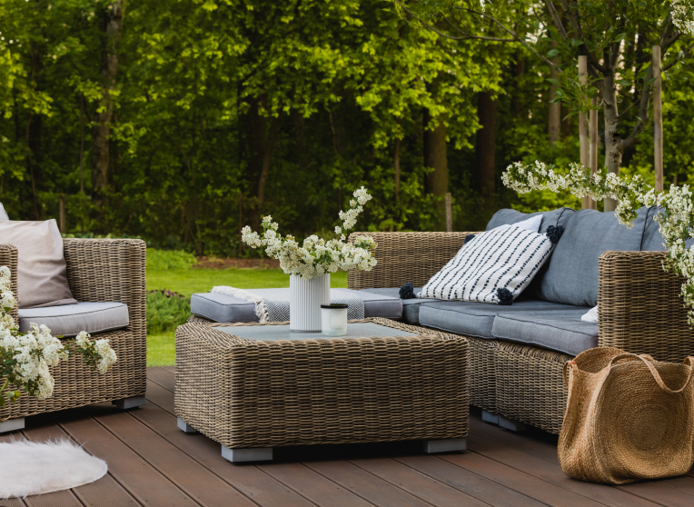 Explore Our Ruda Plant, Mexican Rue Herb | Eureka Farms