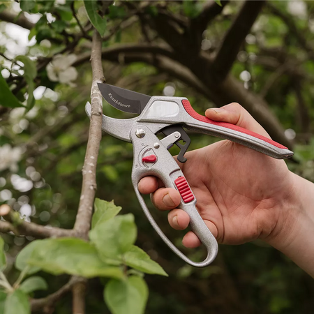 Pruning Tips for Pro Gardeners-Ultimate Guide – Eureka Farms