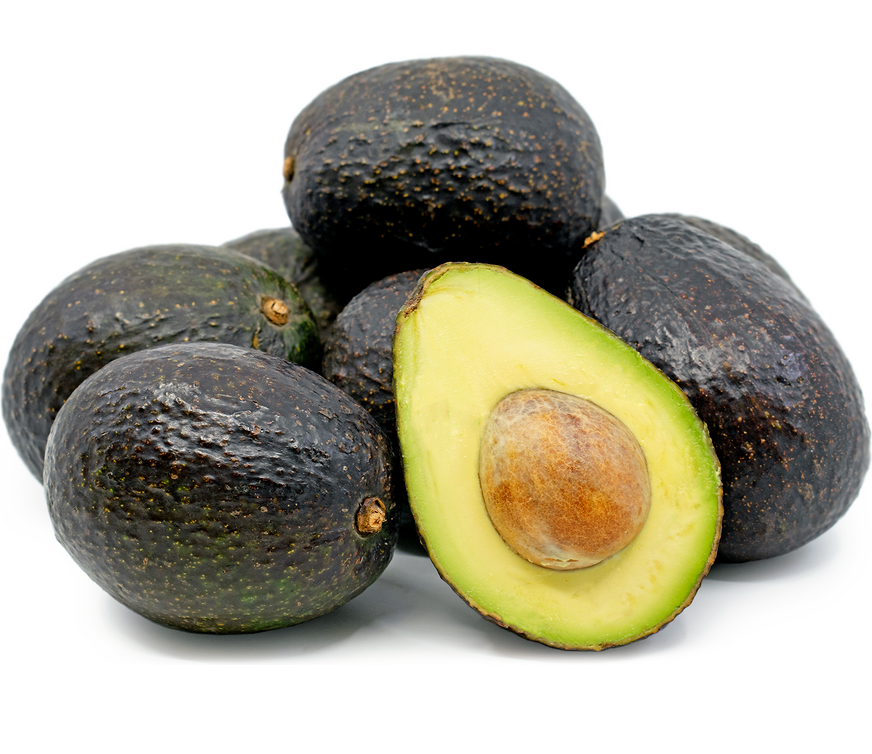 Buy Hass Avocado Fruit Tree Cold Hardy | Eureka Farms