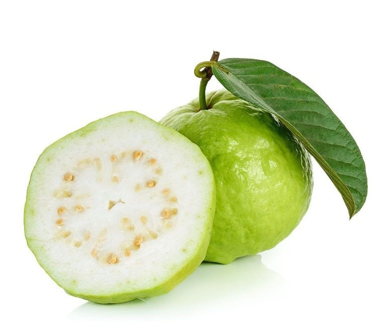 Explore Our White Guava Fruit Tree | Eureka Farms